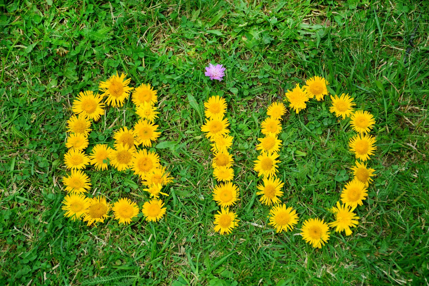 Certification bio : à quoi sert elle et comment l'obtenir ? - Uplike